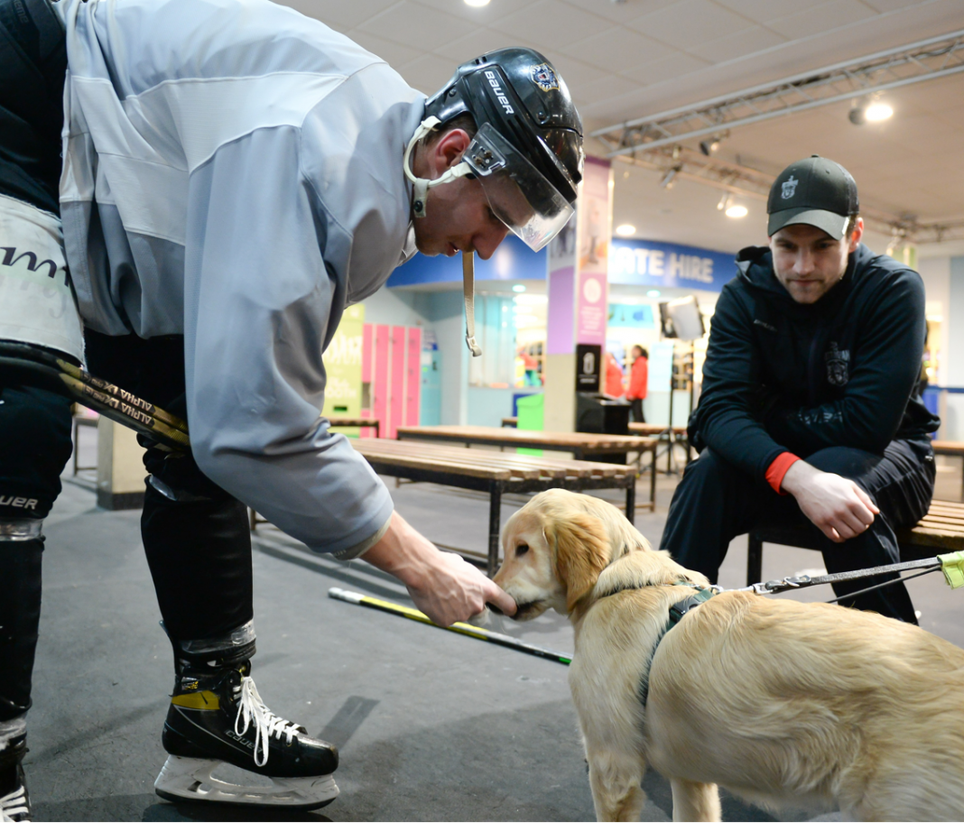 Pictures: Guide dog puppy visits Nottingham Panthers to launch ...