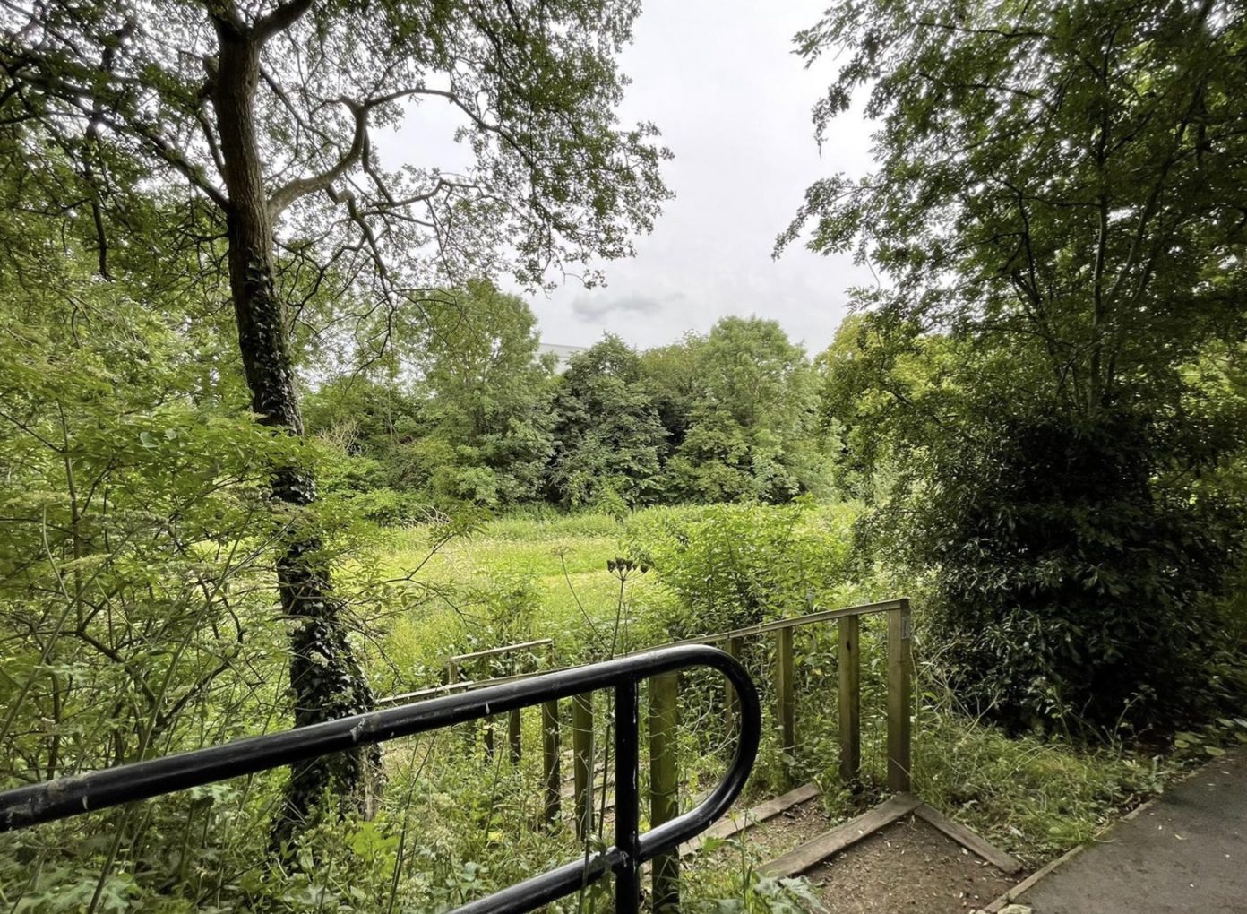 Safety measures needed to protect public at quarry near nature reserve ...