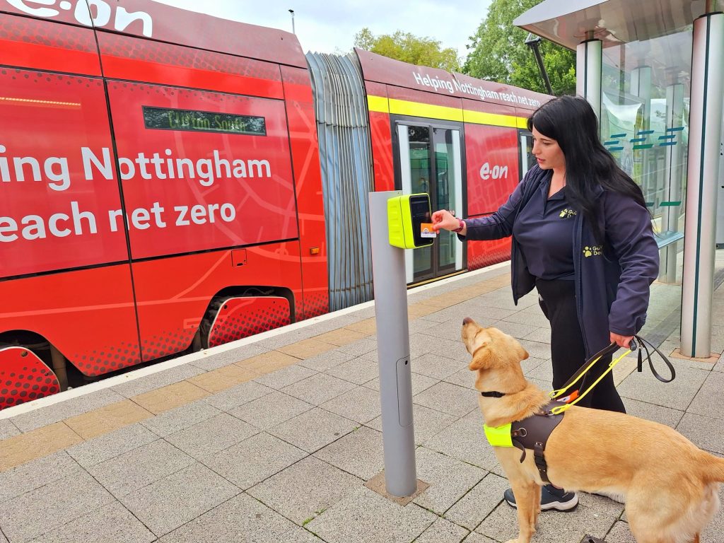 Trainee guide dogs and trainers get free tram and bus travel across ...