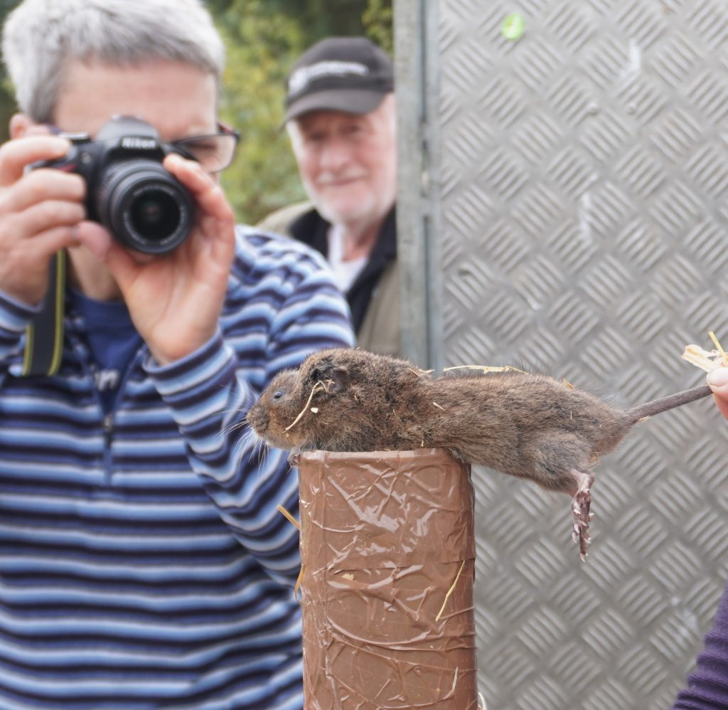 Project to bring Nottinghamshire’s water vole population back from the ...