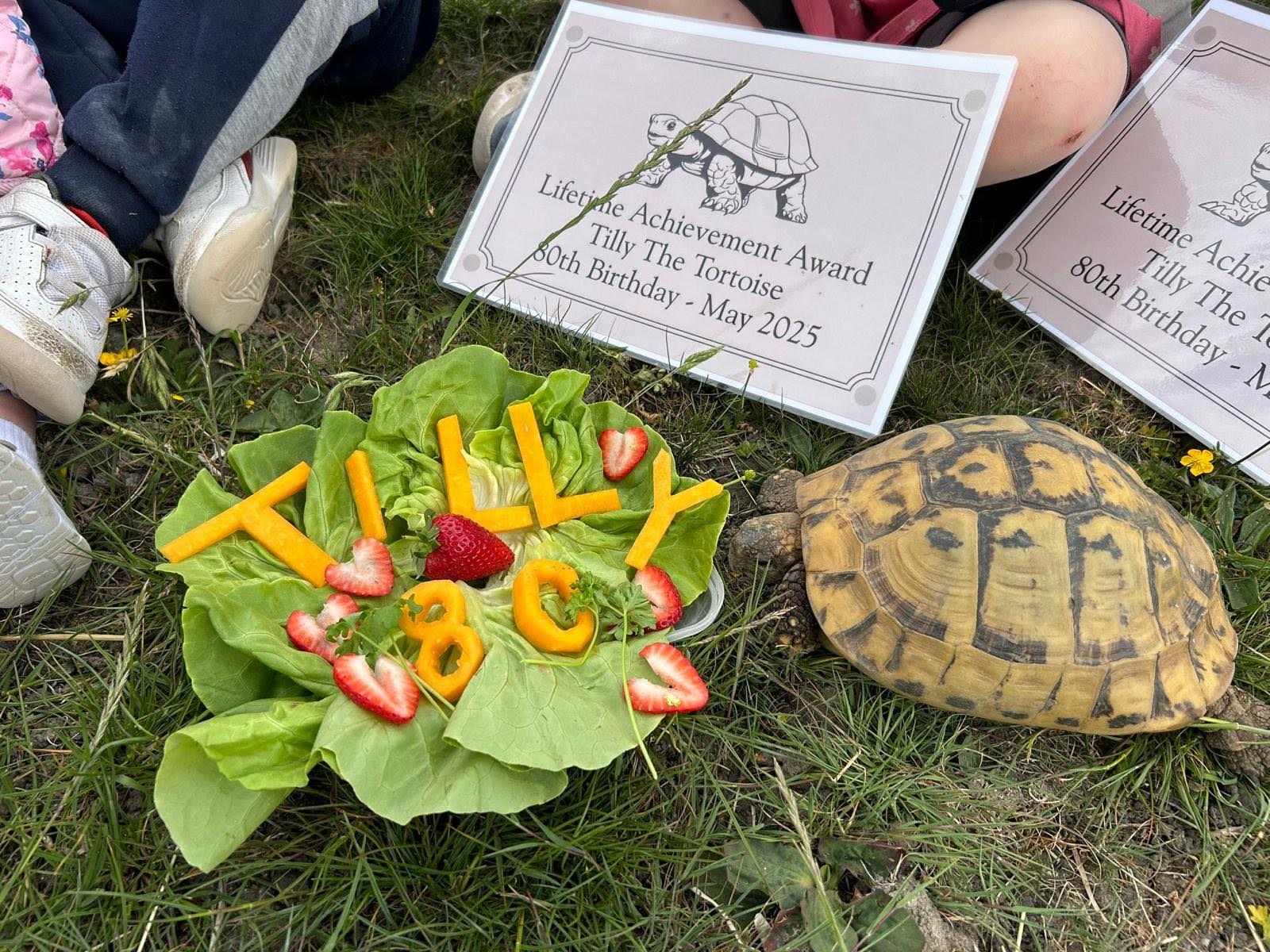East Leake: Tortoise awarded on her 80th birthday | West Bridgford Wire