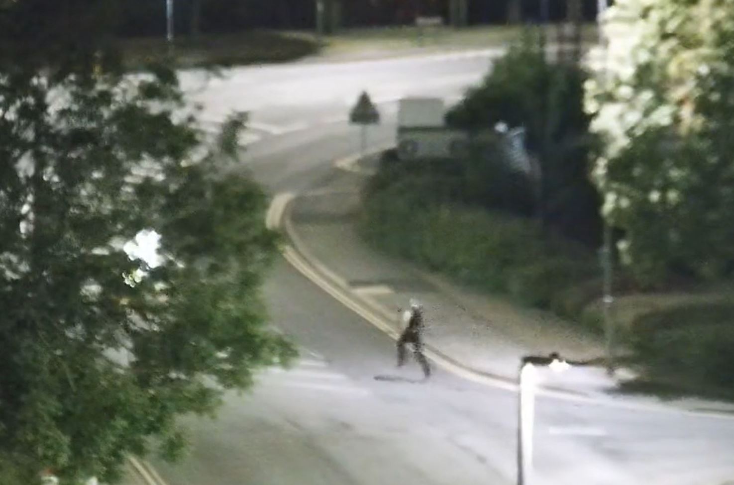 Ladder theft suspect chased down street by police officers to shrubbery ...