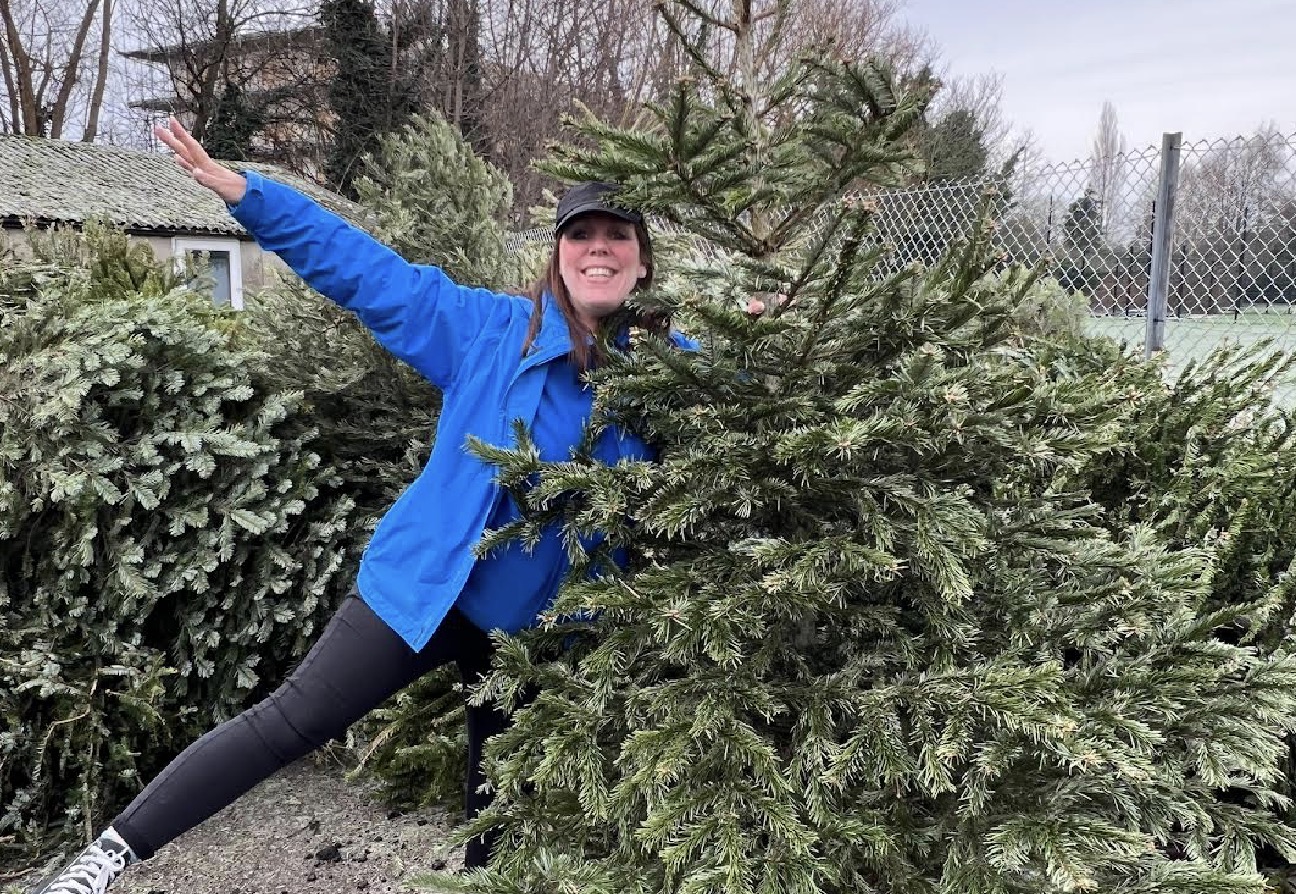 Recycle your Christmas tree to help Nottingham Hospitals Charity | West ...