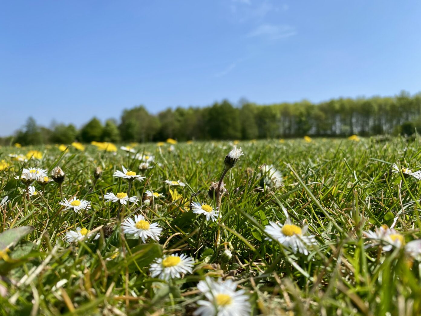 Nottinghamshire weather for Thursday 26 March | West Bridgford Wire