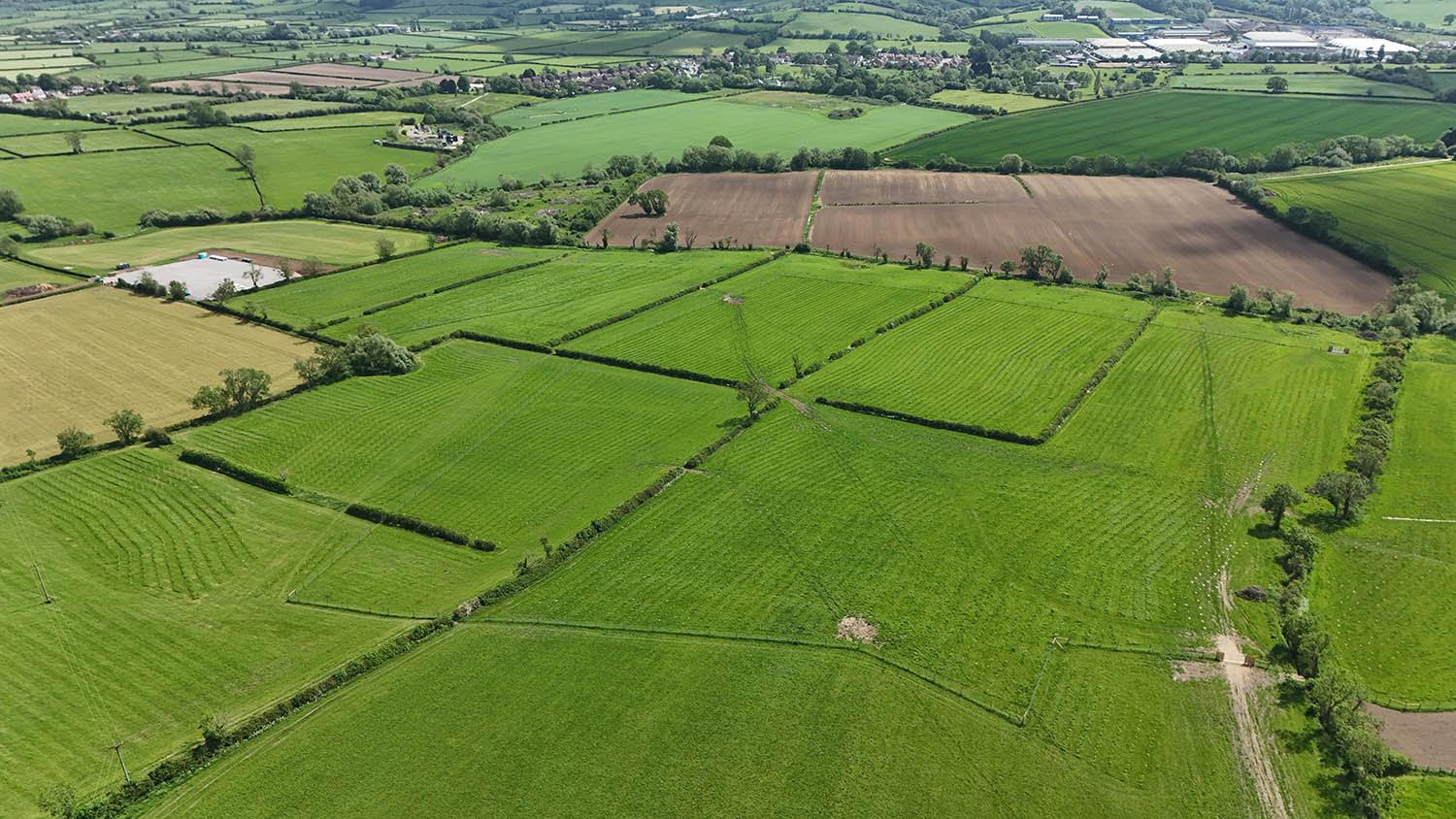 15,000 trees planted to create Rushcliffe Woods | West Bridgford Wire